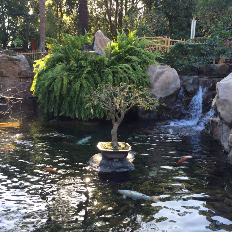 The trees of the 2015 Epcot International Flower and Garden show – Adam ...