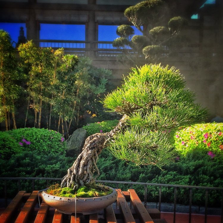 The trees of the 2015 Epcot International Flower and Garden show – Adam ...