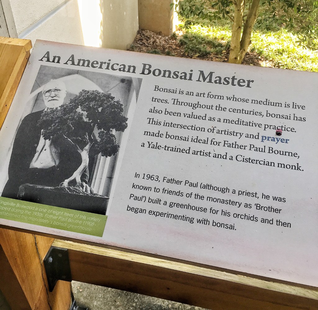 The bonsai collection at the Monastery of the Holy Spirit, Conyers ...