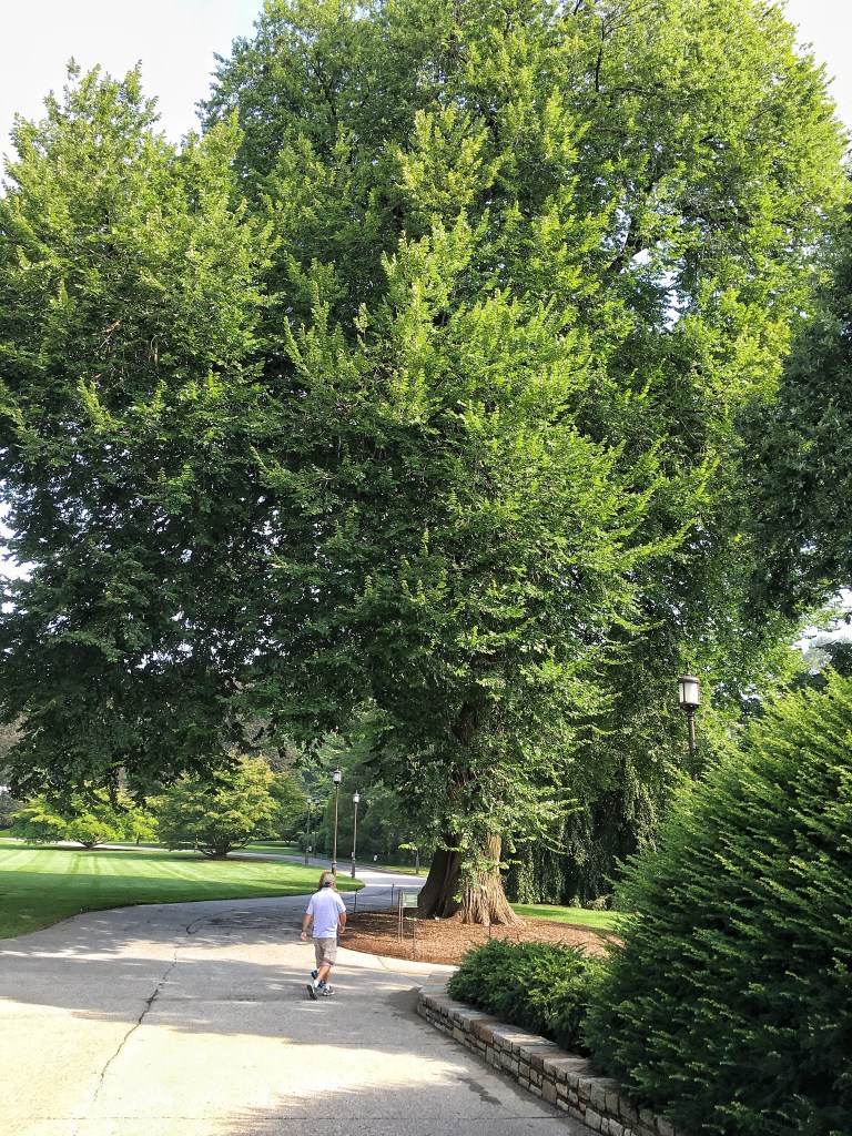 Longwood Gardens and the mythical Kennet Collection – Adam's Art and ...