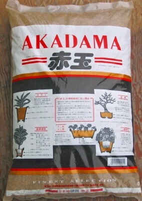 Akadama, the ideal Bonsai soil – Adam's Art and Bonsai Blog