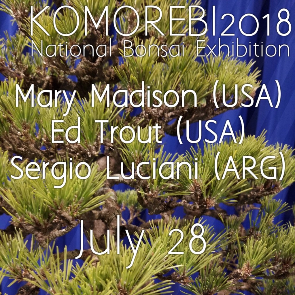 Komorebi Bonsai 2018 – Adam's Art and Bonsai Blog