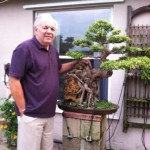 Komorebi Bonsai 2018 – Adam's Art and Bonsai Blog
