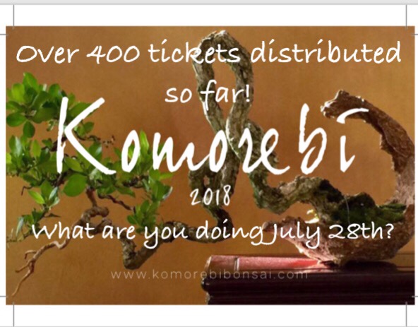 Komorebi Bonsai 2018 – Adam's Art and Bonsai Blog