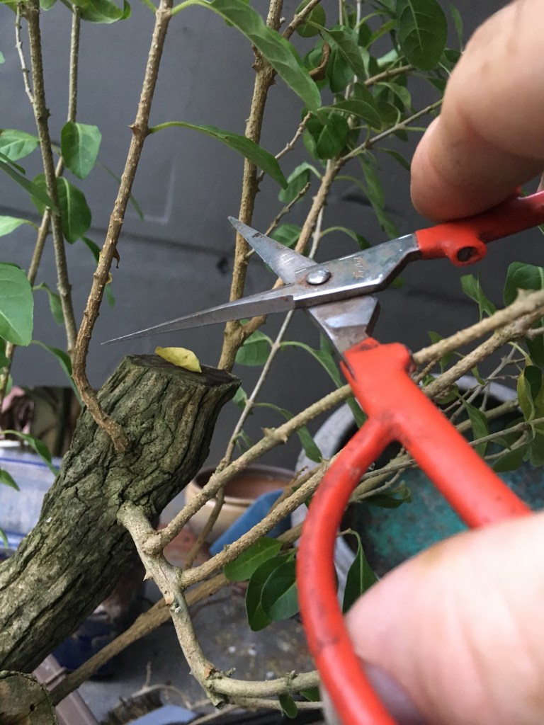 Did you just call me escambron again….that’s it, I’m gonna….wait, what ...