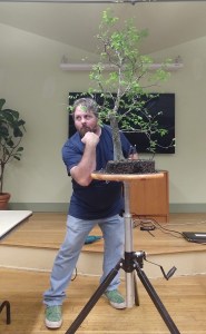 A bonsai journey – Adam's Art and Bonsai Blog